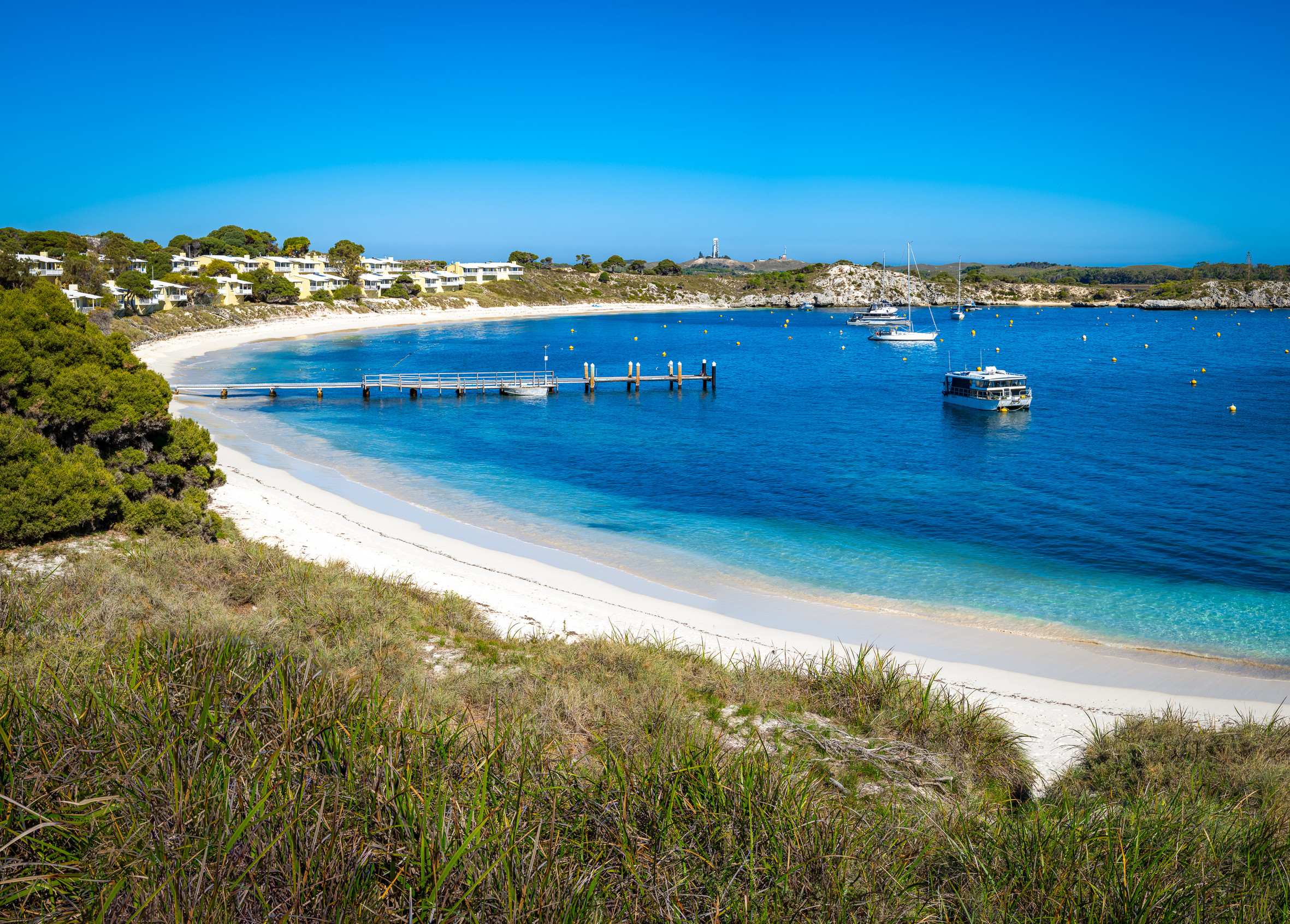 Rottnest Island | Your guide to Geordie Bay