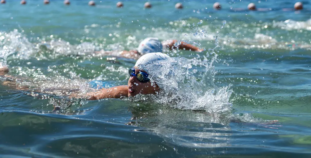 Champs of the Bay 2026